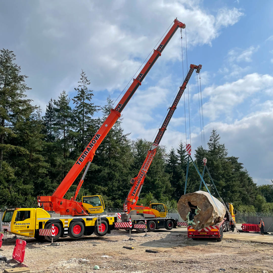 Multi-crane lift for MoD | Terranova